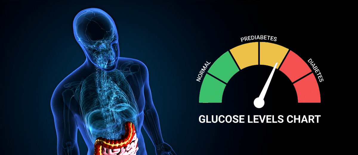 What Is Prediabetes Range Causes Signs Symptoms Prevention Lets what-is-prediabetes-range-causes-signs-symptoms-prevention-lets