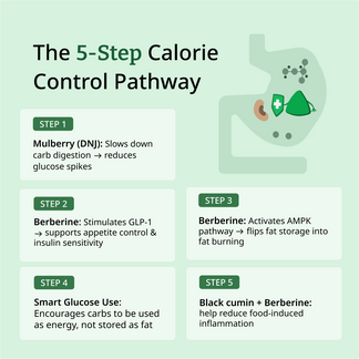 Moderate Calorie Crusher Tablets | Best Carb Cutter Capsules – Lets ...