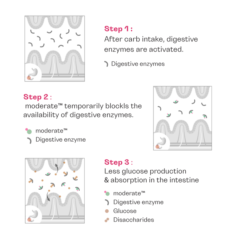 Science Behind Moderate Tablets – Lets Moderate